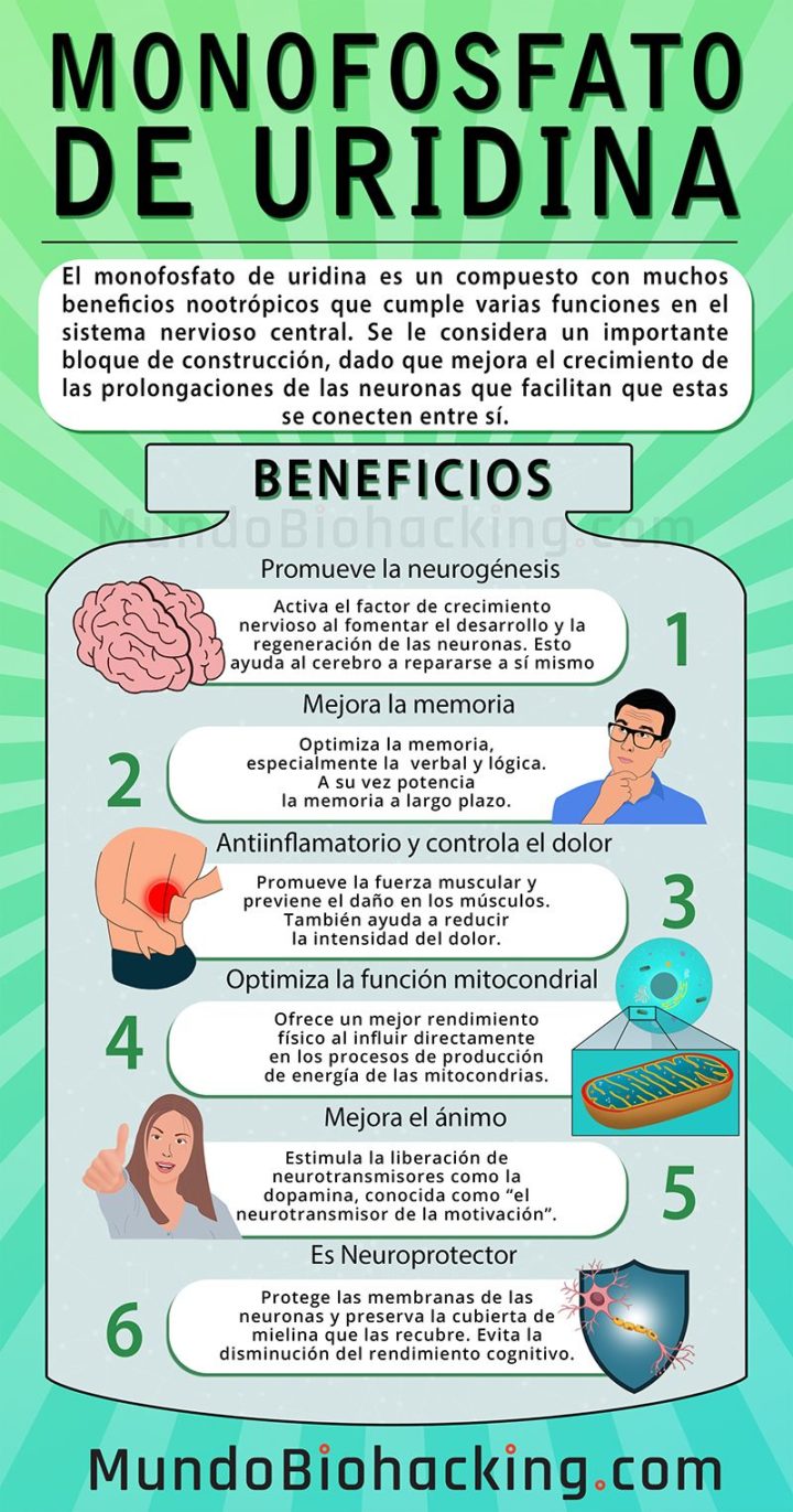 Uridina, todo lo que tienes que saber sobre este nootrópico